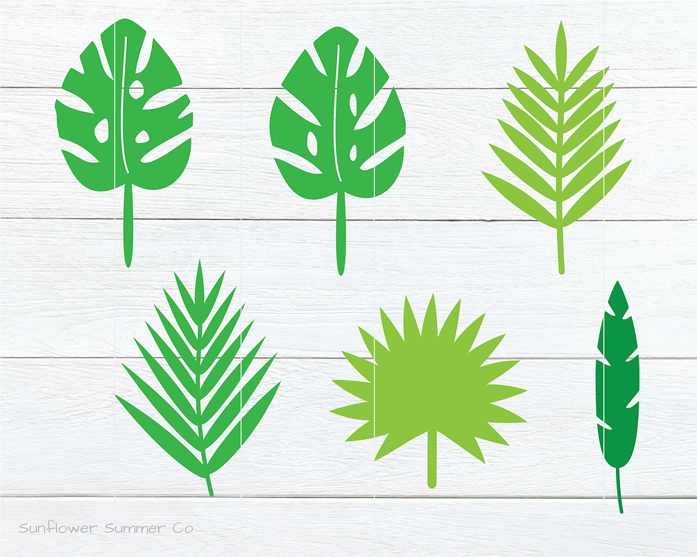 Palm Leaves SVG and Clipart