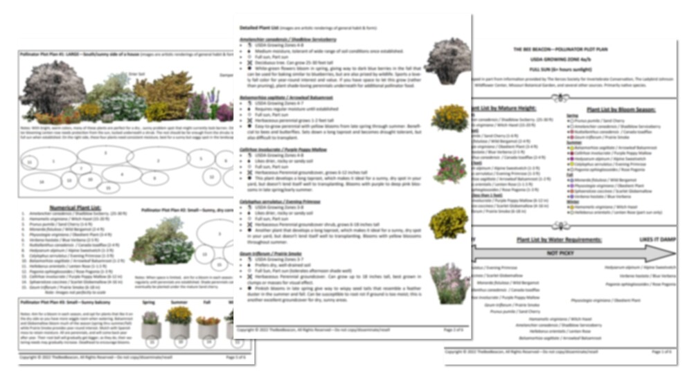 Pollinator Plot - Zone 4-a-b - SUN