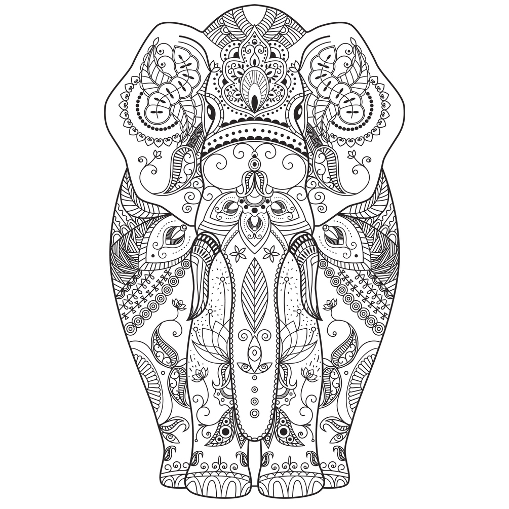 50 PAGES COLORING BOOK