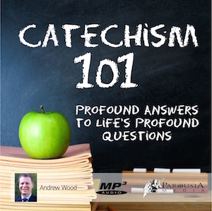 FREE SAMPLE Catechism 101: Profound Answers to Life's Profound ...