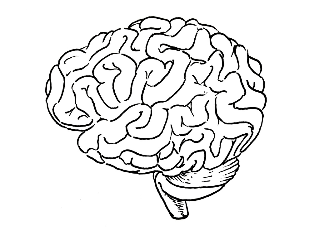 Illustration: Brain