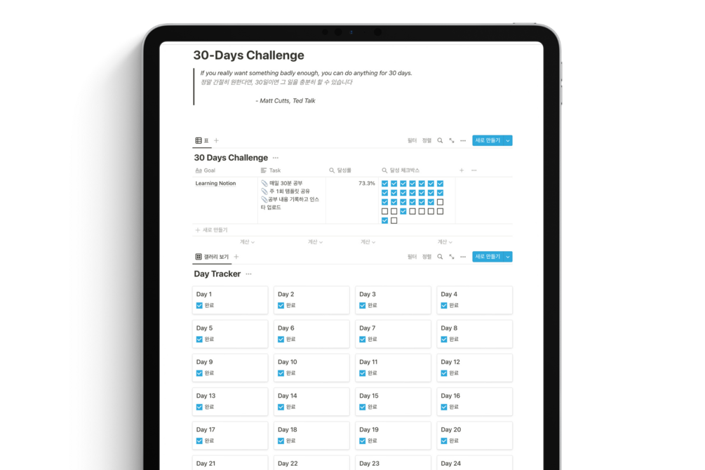 30일 챌린지 노션 템플릿 (30-Days Challenge Notion template)