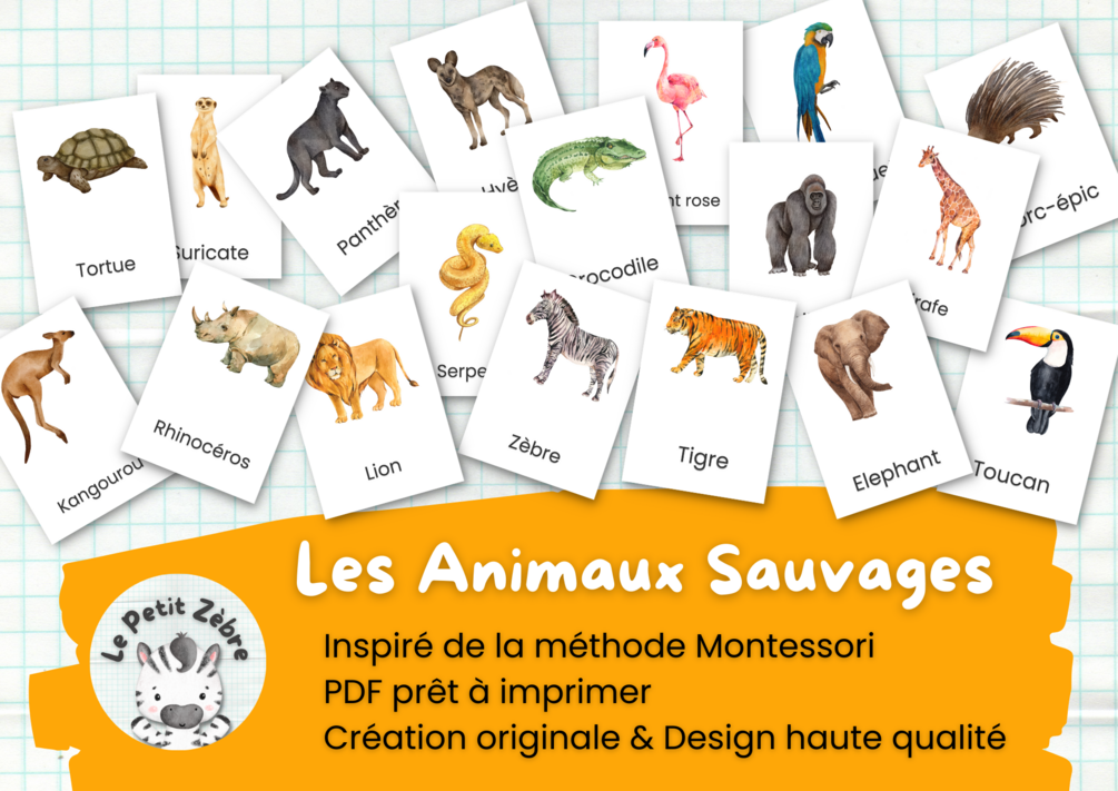 30 CARTES EDUCATIVES ANIMAUX SAUVAGES
