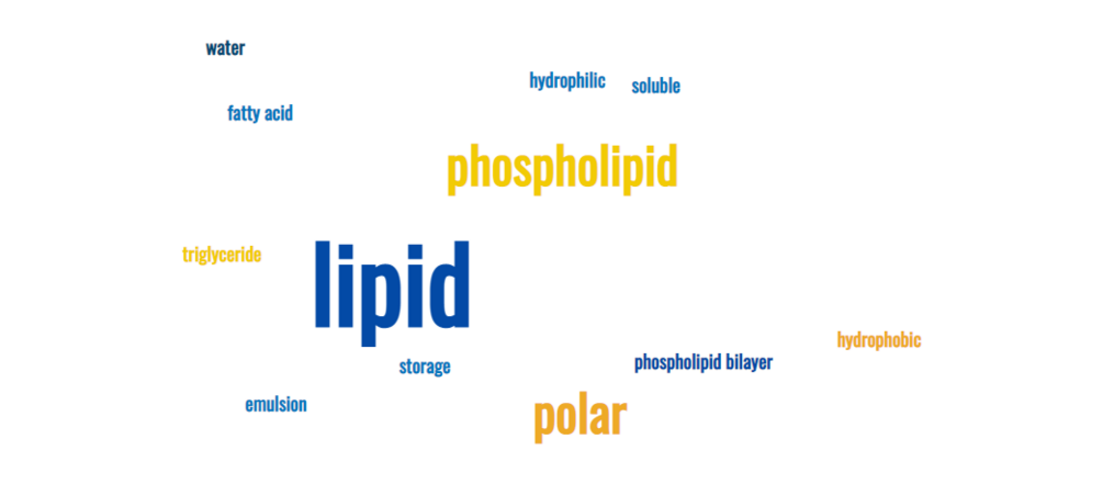 AQA A Level Biology Anki Flashcards; Biological Molecules; Lipids
