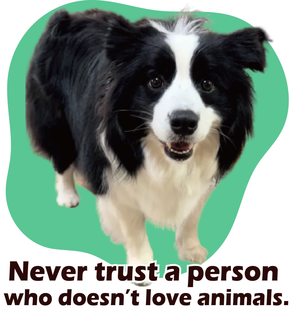 the-funny-puppy-012