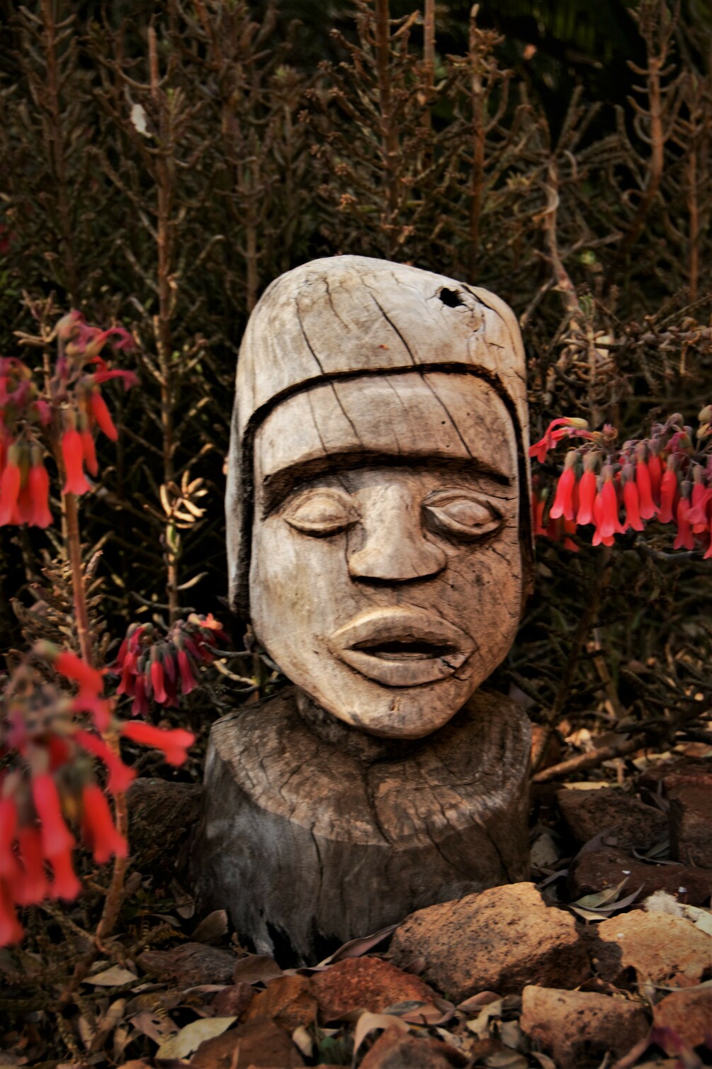Wooden Face Carving : FHD