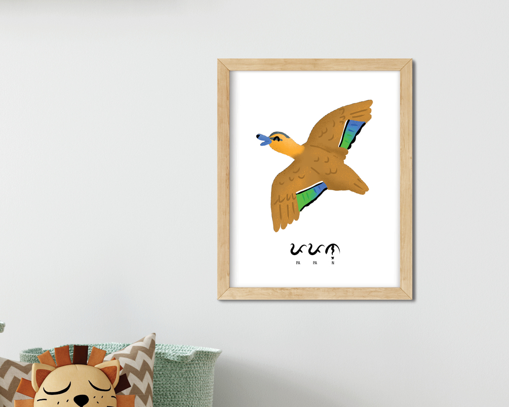 Philippine Duck or Papan in Filipino and Baybayin (Anas luzonica) Printable
