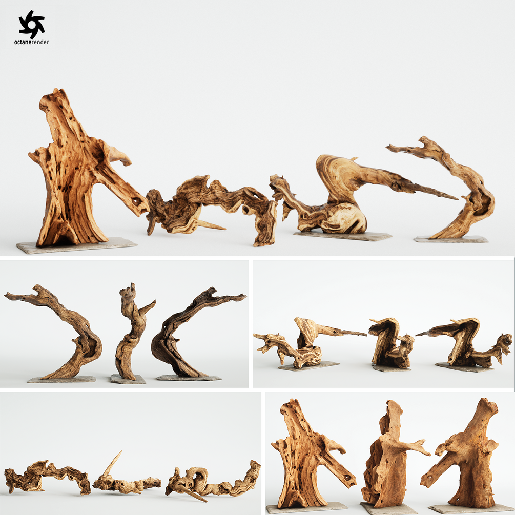 Driftwood Collection 3D Assets