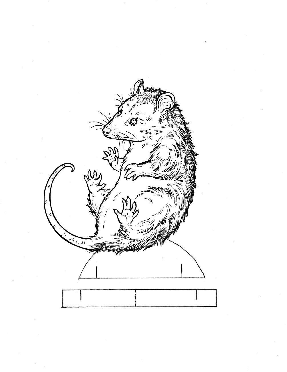 Possum Paper Doll (outline only)