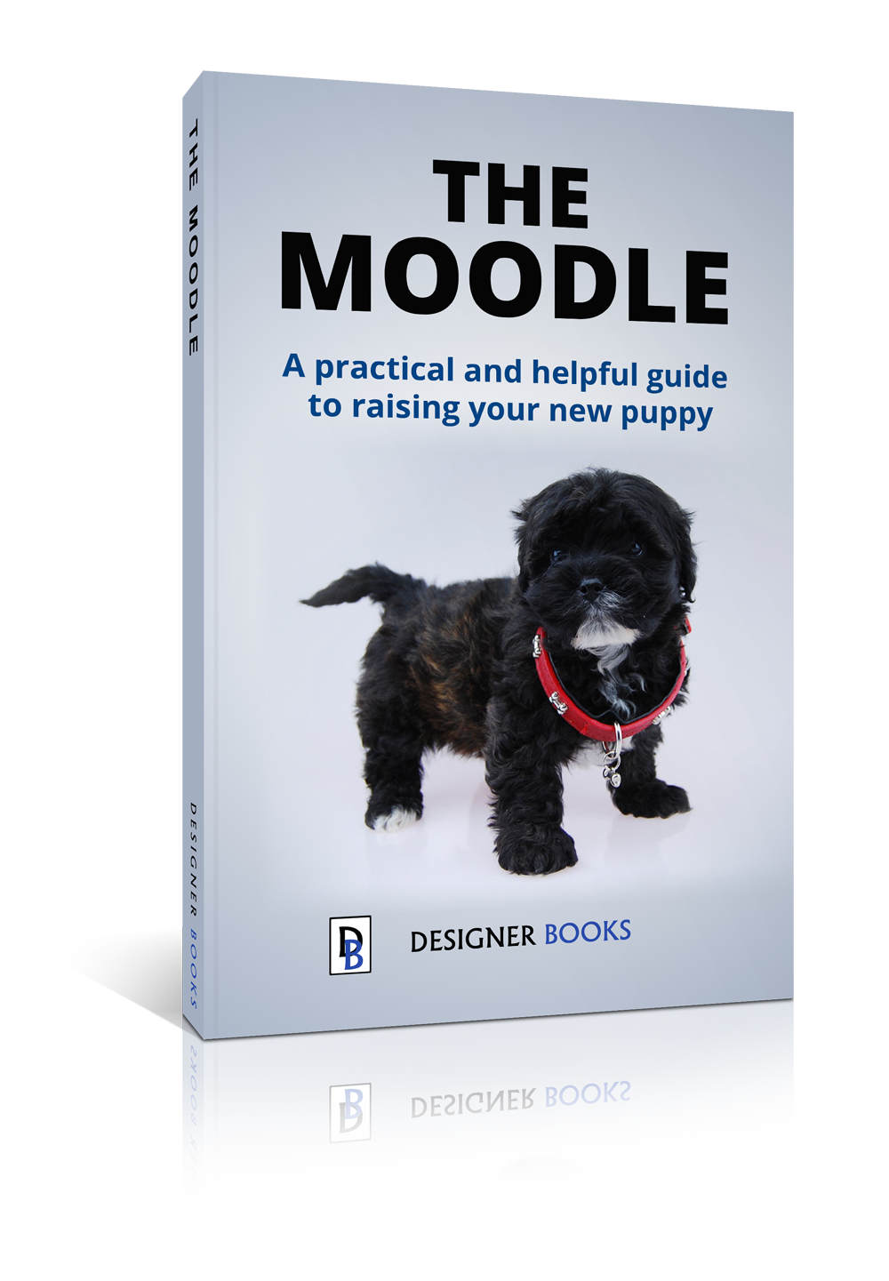 How Big Is A Moodle Dog