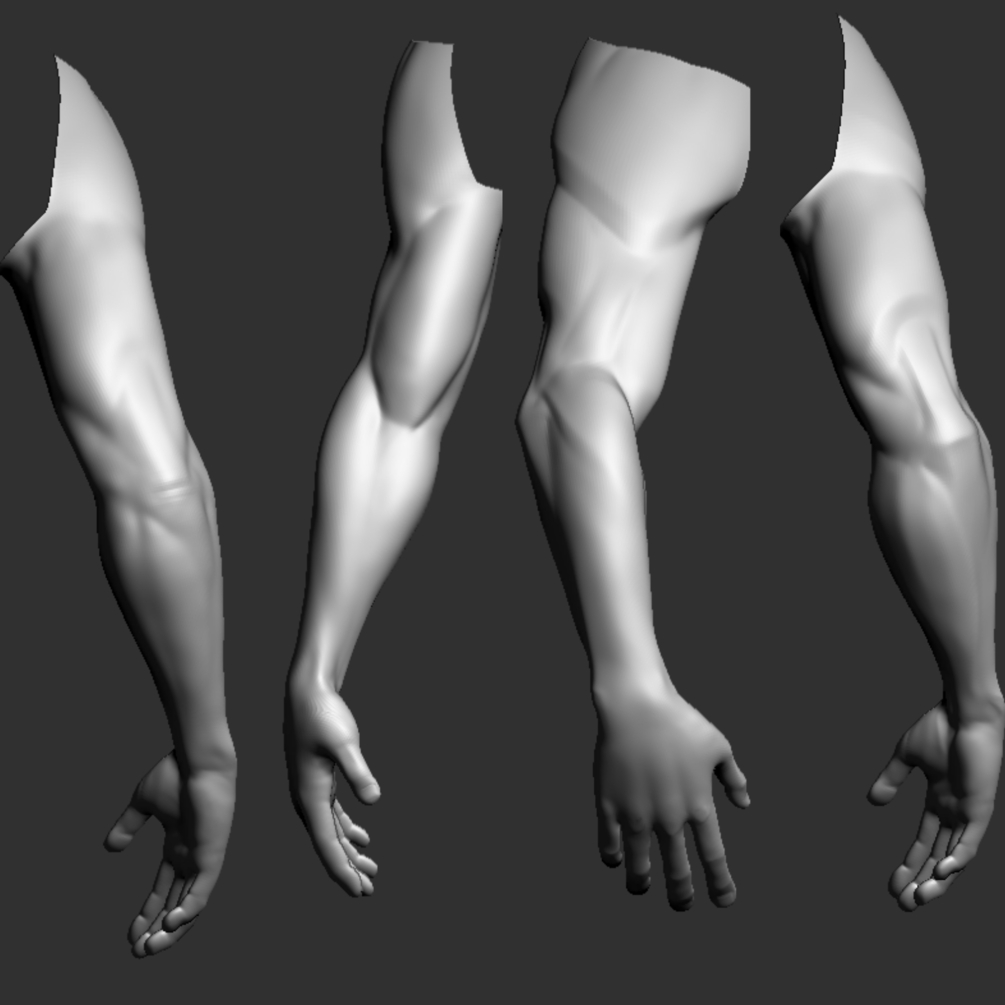 Anatomy male arm - Realistic vs Stylized morphing
