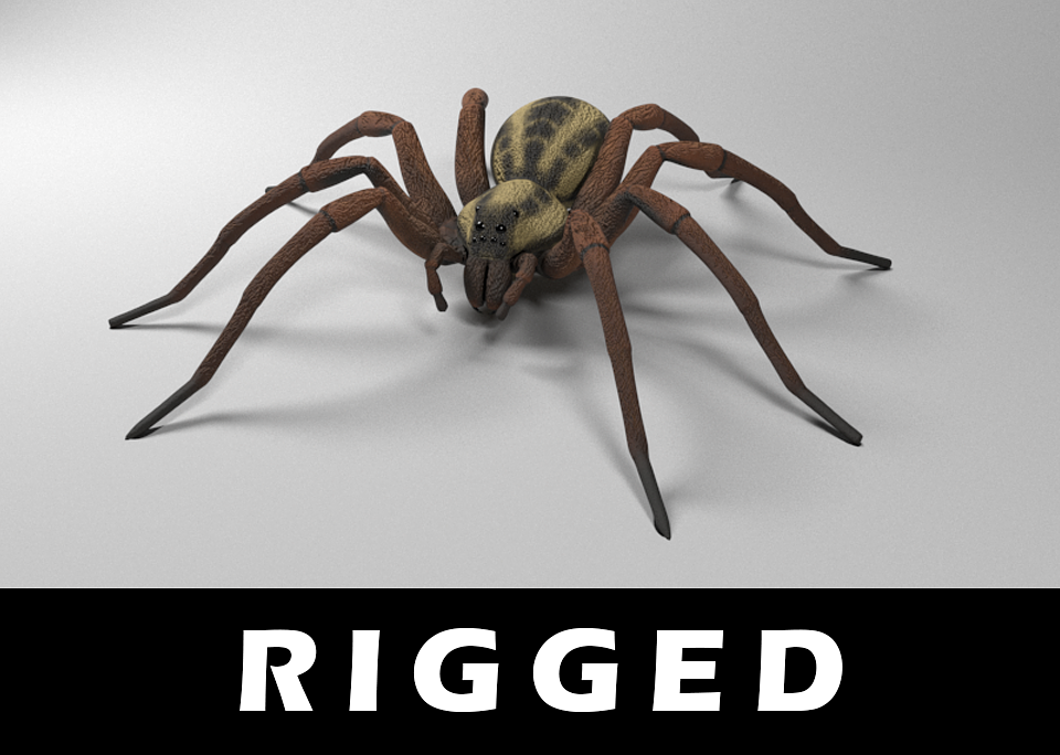 Wolf Spider Rig