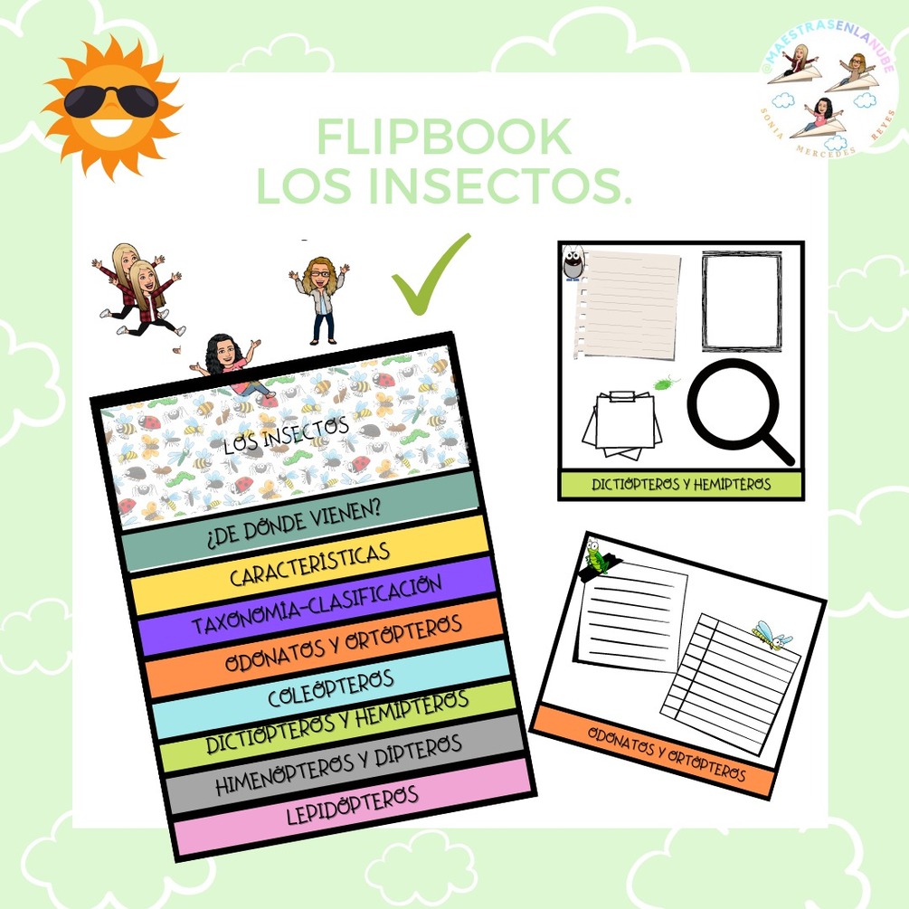 Flipbook insectos