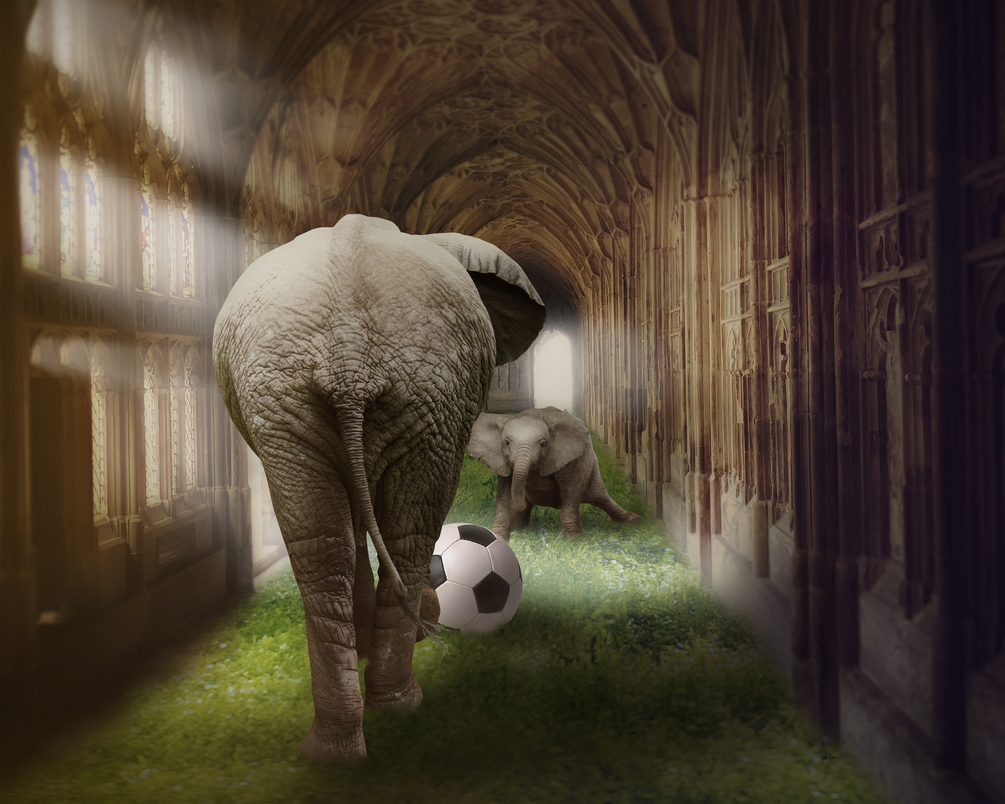 Elephant Soccer
