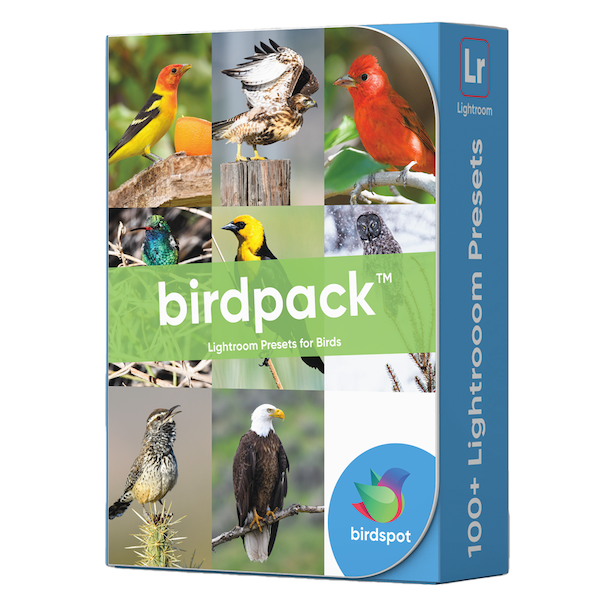 birdpack™ by birdspot: 100+ Lightroom presets for bird photos