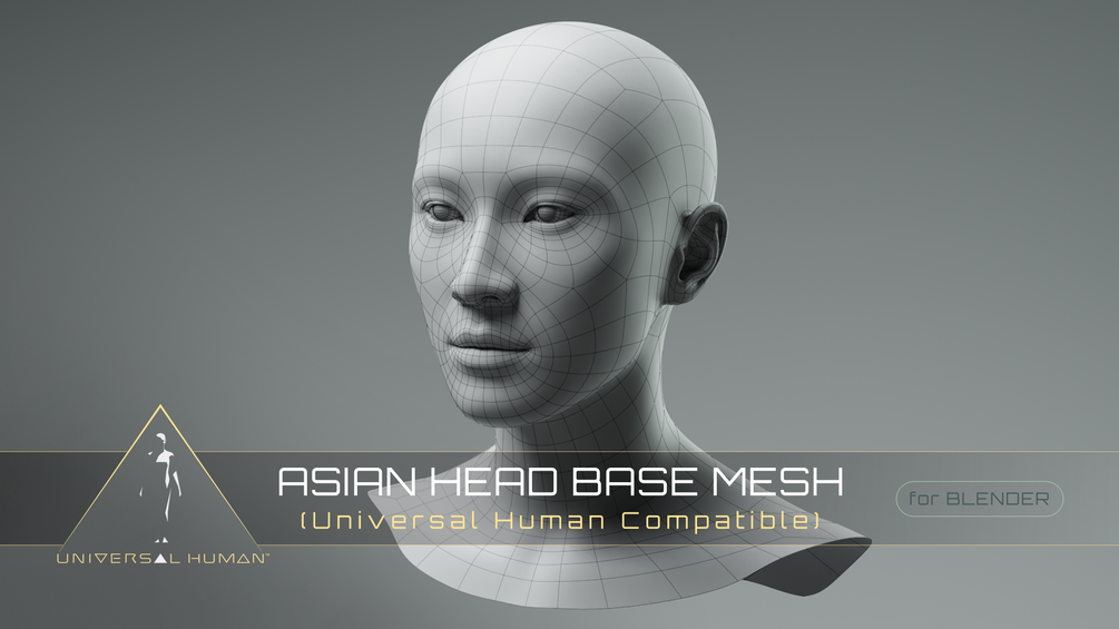 Universal Human Asian Head Base Mesh
