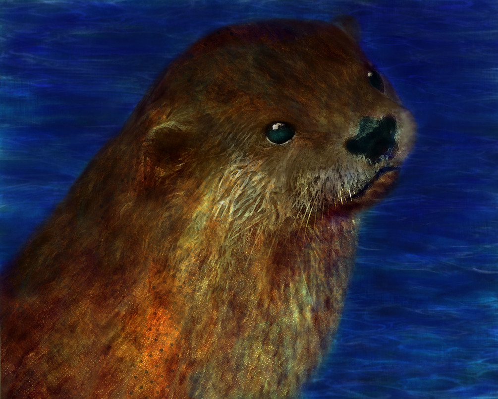 Otto the Otter