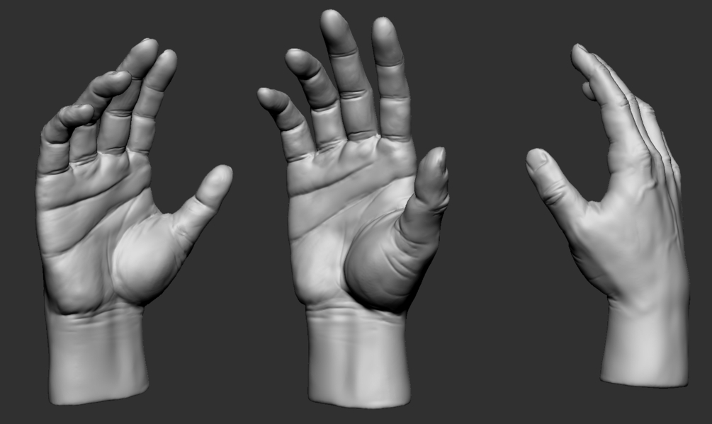 Tutorial - Esculpir una mano en Zbrush (ColectivoCG by José Rosales)
