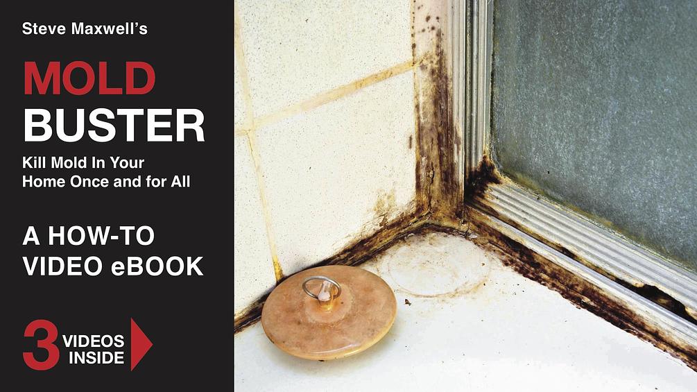 MOLD BUSTER: Fight Household Mold and Win