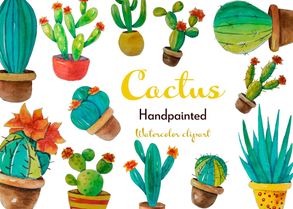 Cactus watercolor handpainted clipart