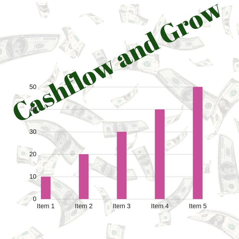 Cash Flow and Grow