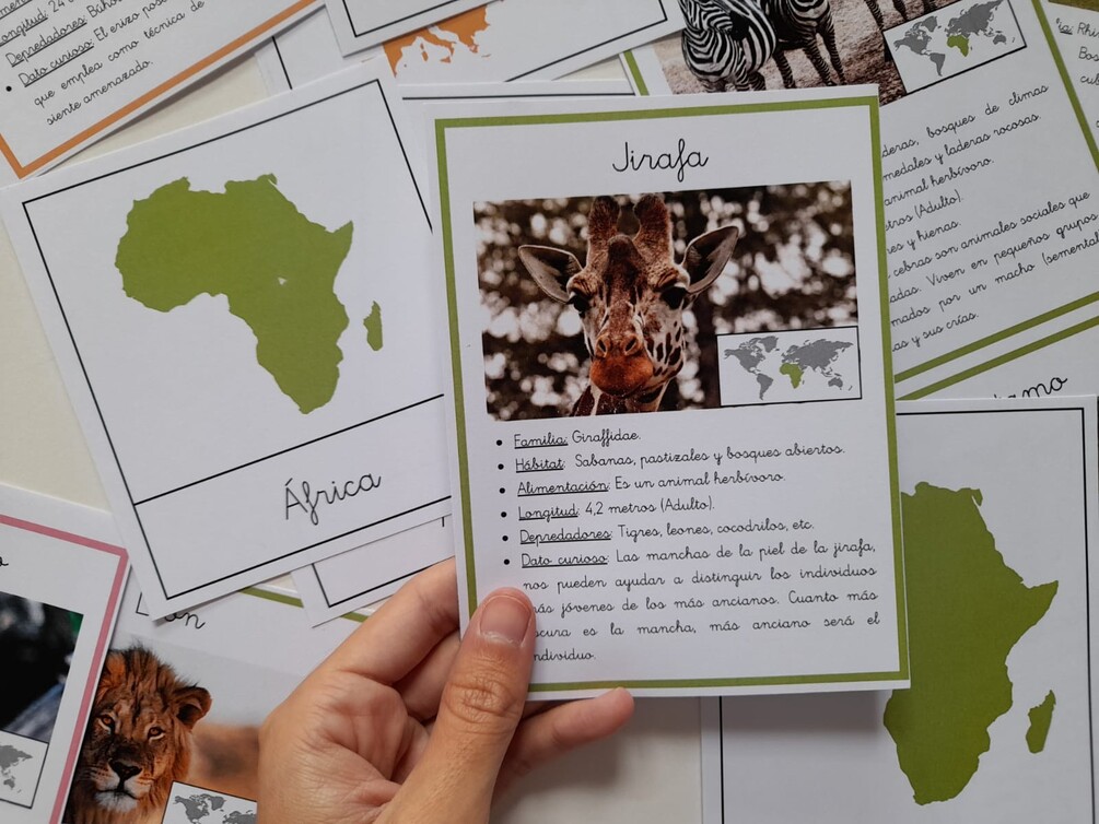 TARJETAS ANIMALES Y CONTINENTES