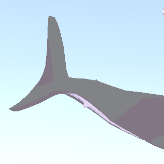 VRC Shark Tail
