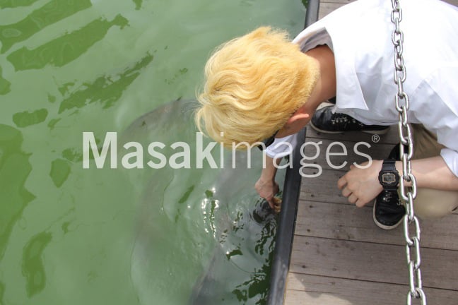 IMG_3823.JPG｜masaki images