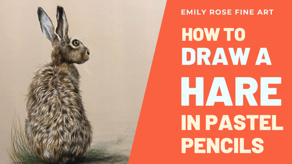 How to Draw a Hare in Pastel Pencil - Step by Step