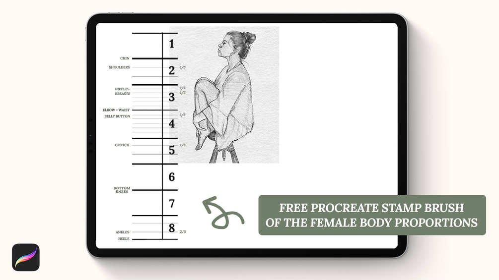 (Female) Body Proportions Brush for Procreate - FREE