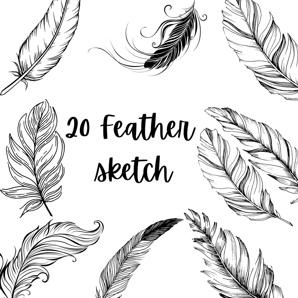 407 Feather Procreate Bundle 20 Feather Sketch Procreate Brushes 87