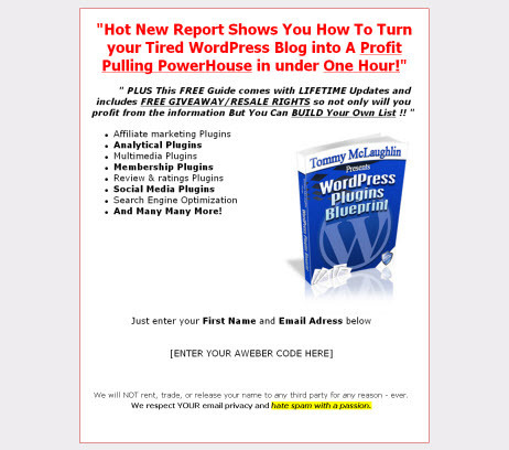 WordPress Plugins BluePrint eBook