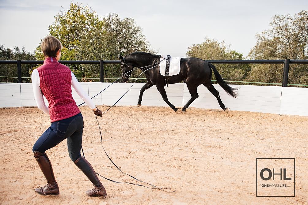 Residual Tensions Release Therapy: Long Reins Online Course