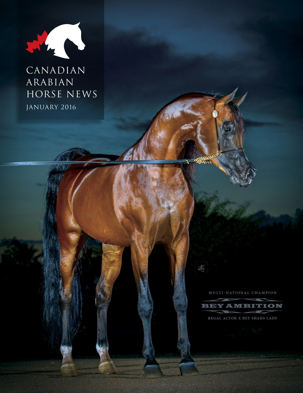 January 2016 Canadian Arabian Horse News