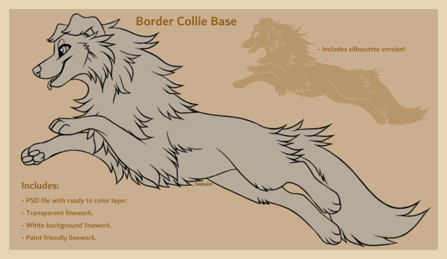 Border Collie Base