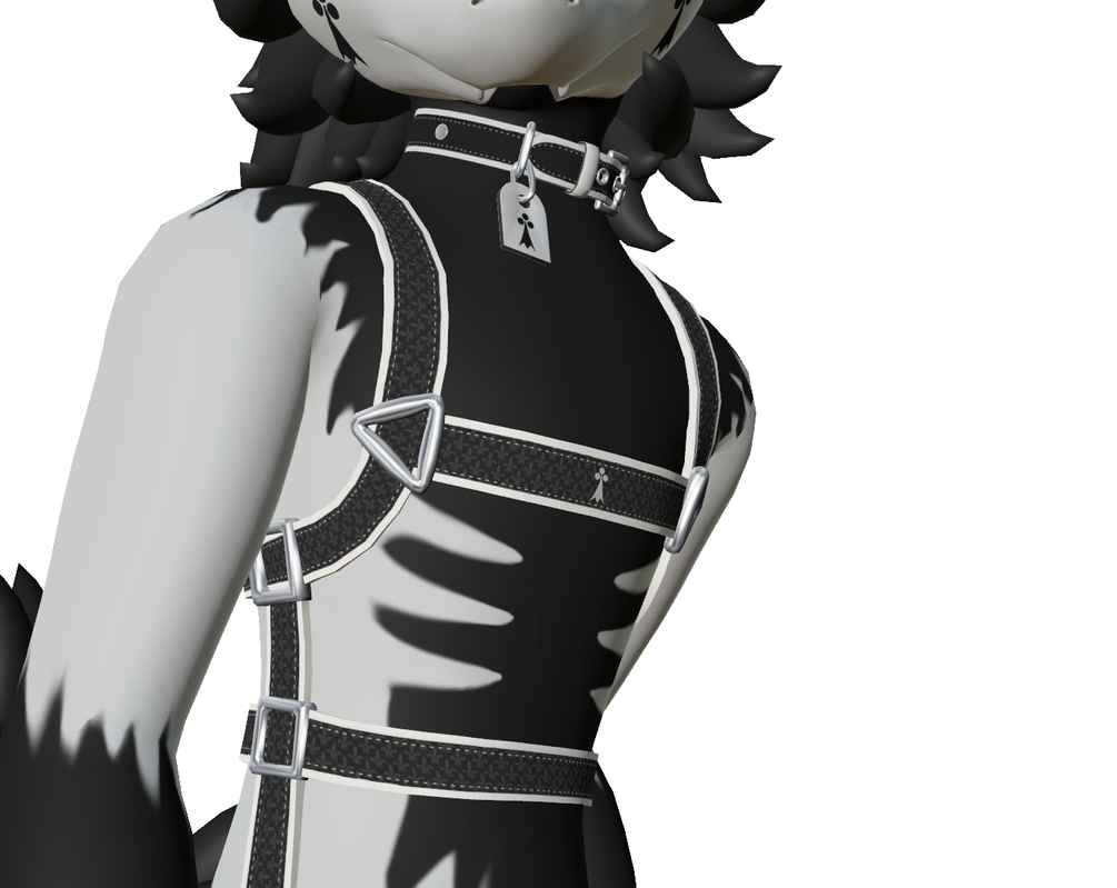 Fine Harness for Nardoragon