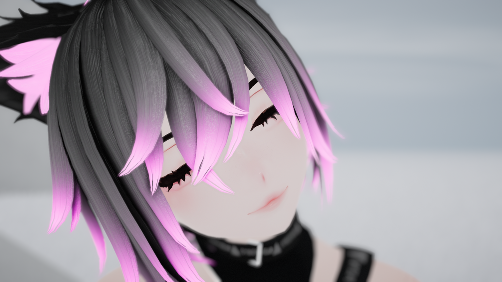 Echo Cat VRC (PC Only Version)