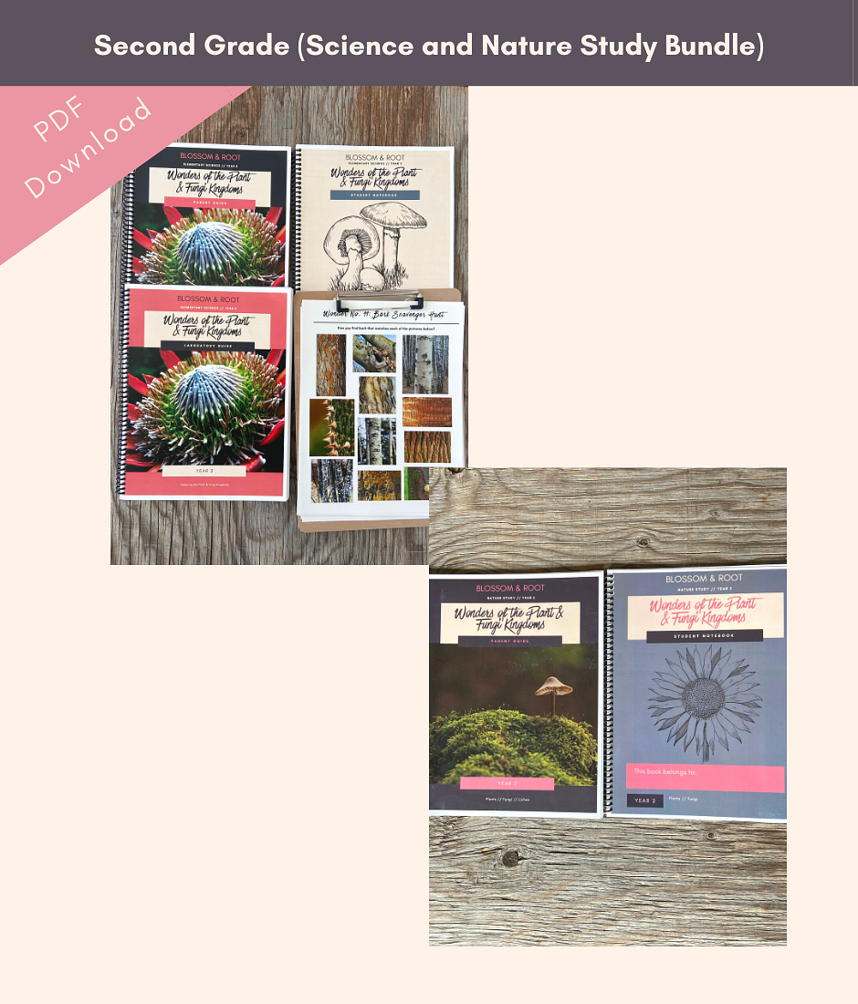 Blossom and Root Second Grade (Science and Nature Study Bundle)