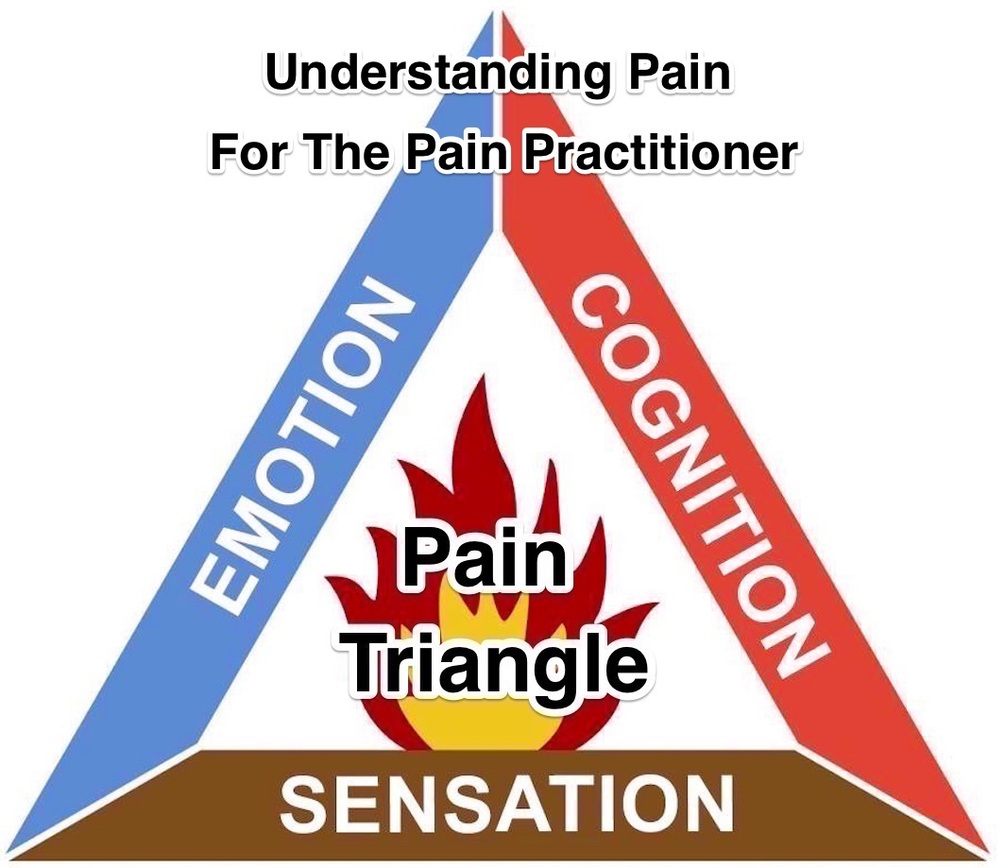 Understanding Pain For The Pain Practitioner