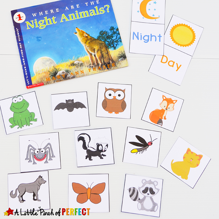Learning about Nocturnal Animals Kids Activities