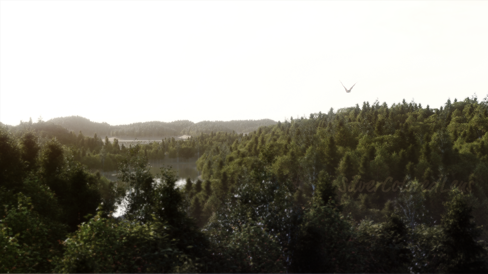 Create this Realistic Aerial Forest Scene in just 10 minutes | D5 ...