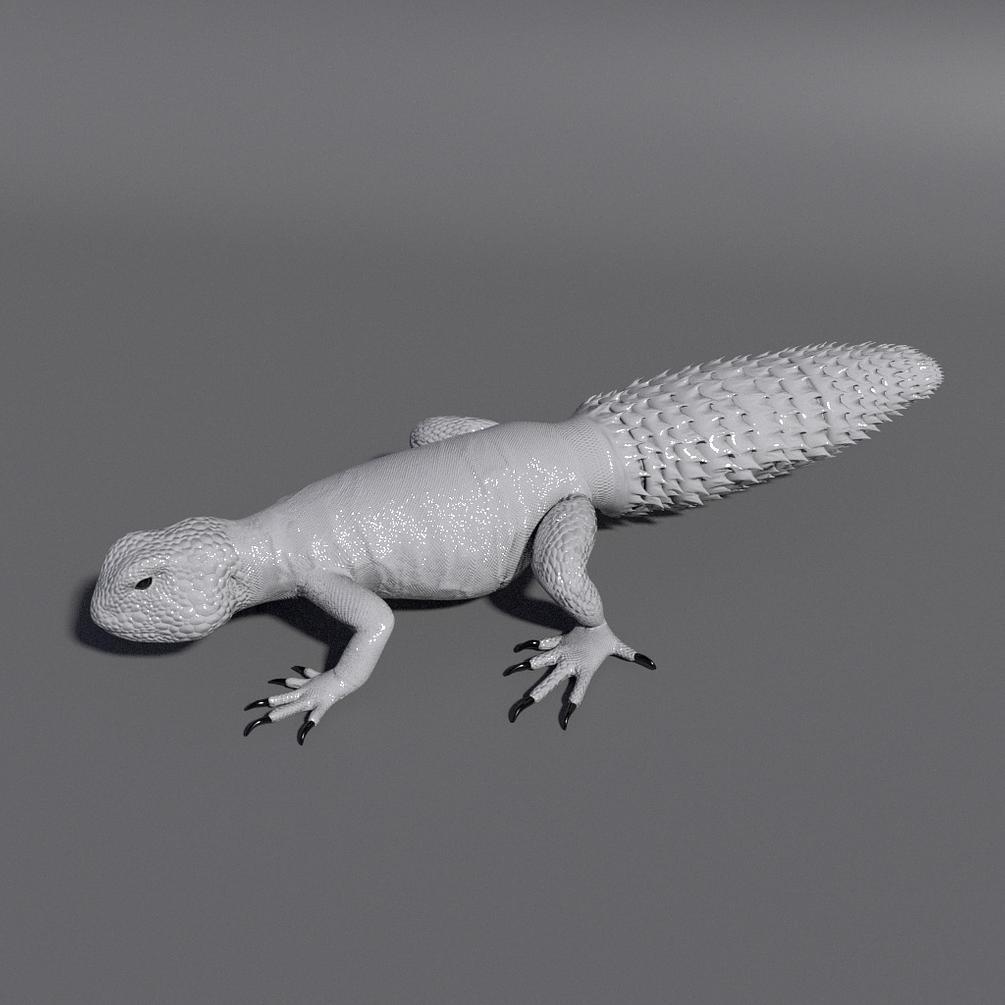 Lizard Maya Rig (Uromastyx)