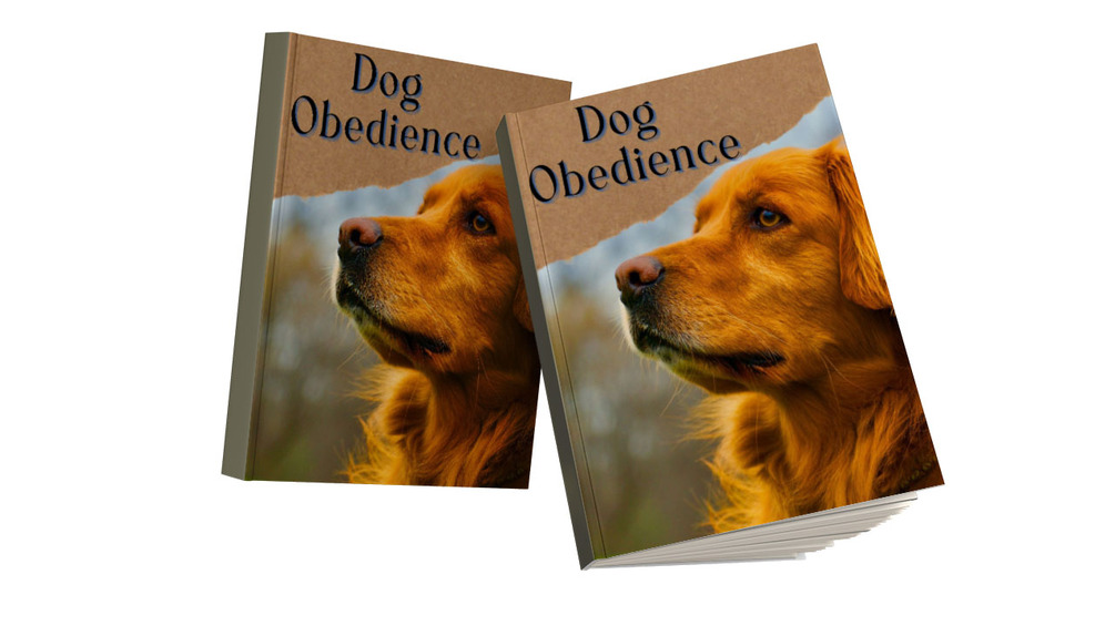 Dog Obedience