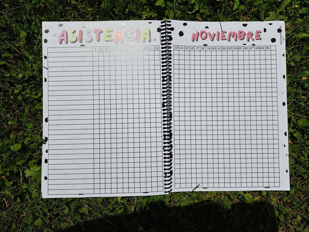 Cuaderno de la Maestra 24-25
