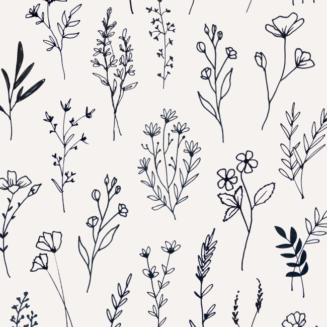 Floral Hand Drawn Illustrations, Wild Flower Fine Line Art, Botanical ...