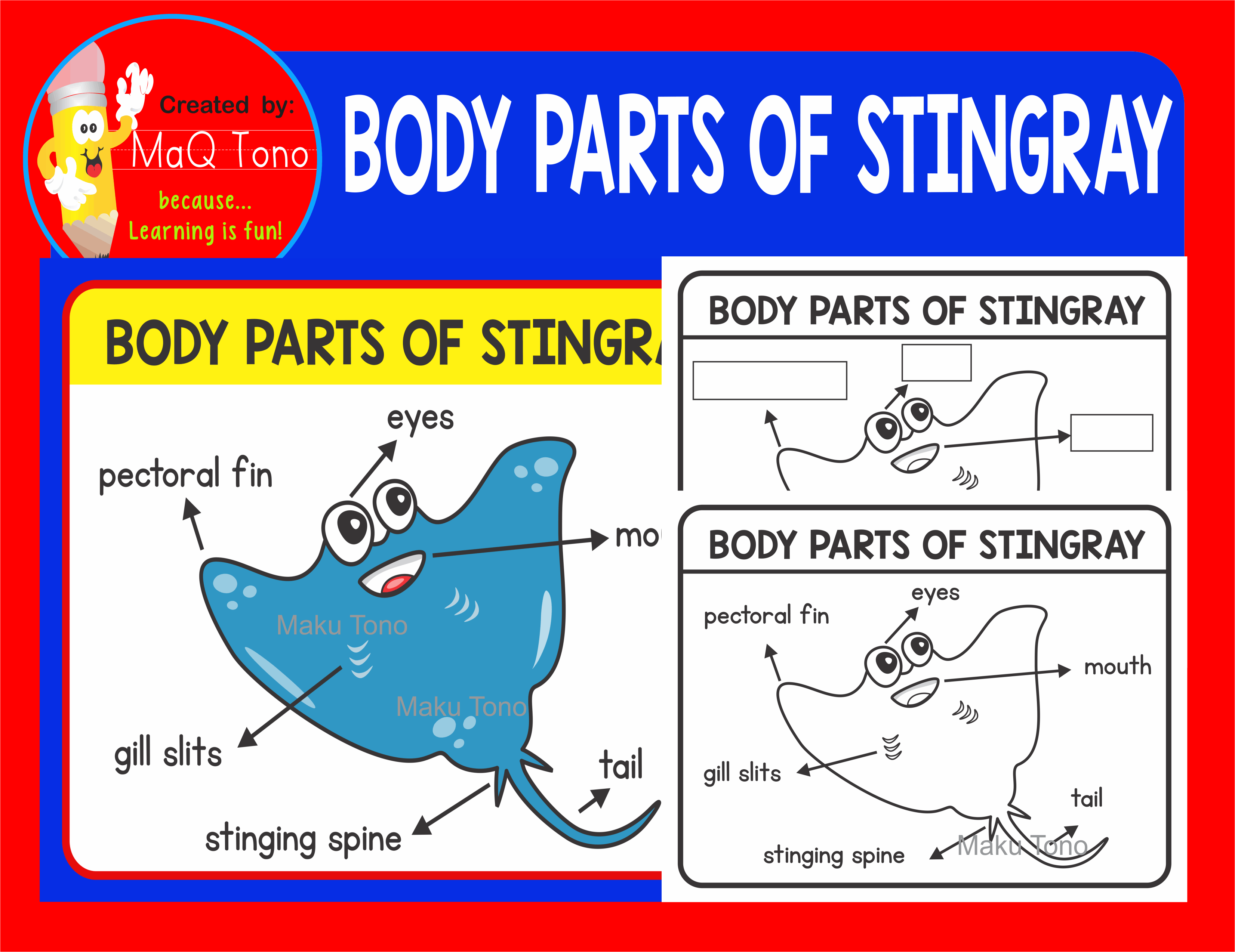 BODY PARTS OF STINGRAY SET