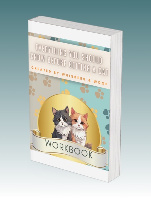 Everything You Should Know Before Getting A Cat Workbook