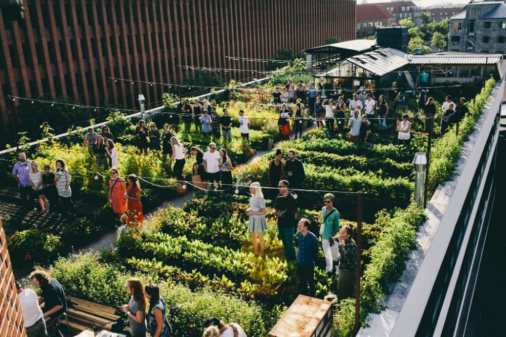 Rooftop Urban Farming: A Business Plan Template and Guide