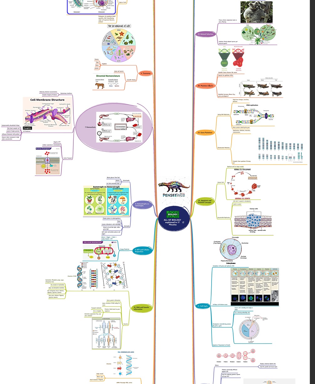"ALL OF BIOLOGY Explained in 17 Minutes Mind Map | Wacky Science ...