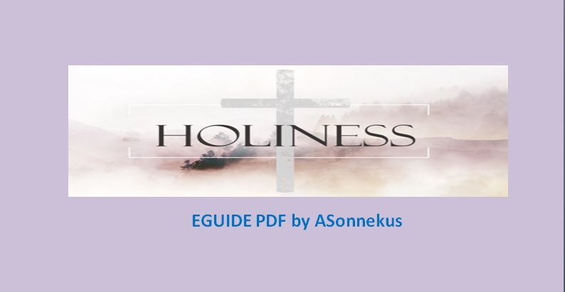 HOLINESS EGUIDE PDF by ASonnekus